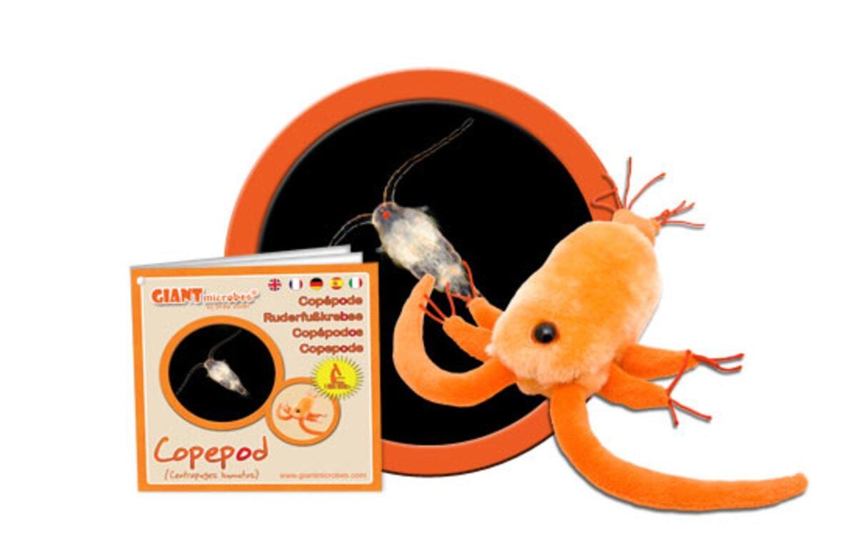 copepods uk