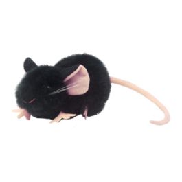 Black Lab Mouse - Model Organism Plush | GIANTmicrobes