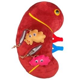 Deluxe Kidney - Plush with Kidney Stones | GIANTmicrobes