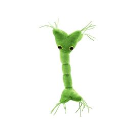 Nerve Cell - Essential Neuron Plush | GIANTmicrobes
