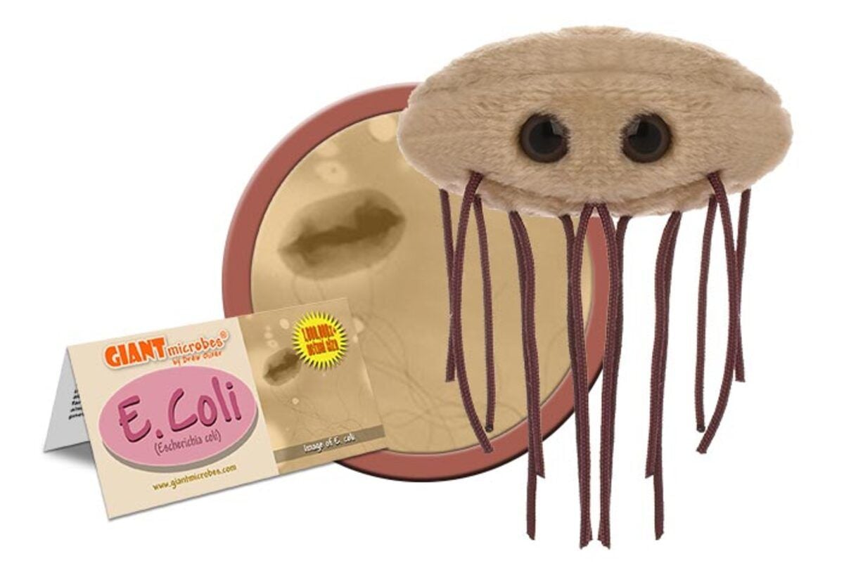 cute bacteria plush