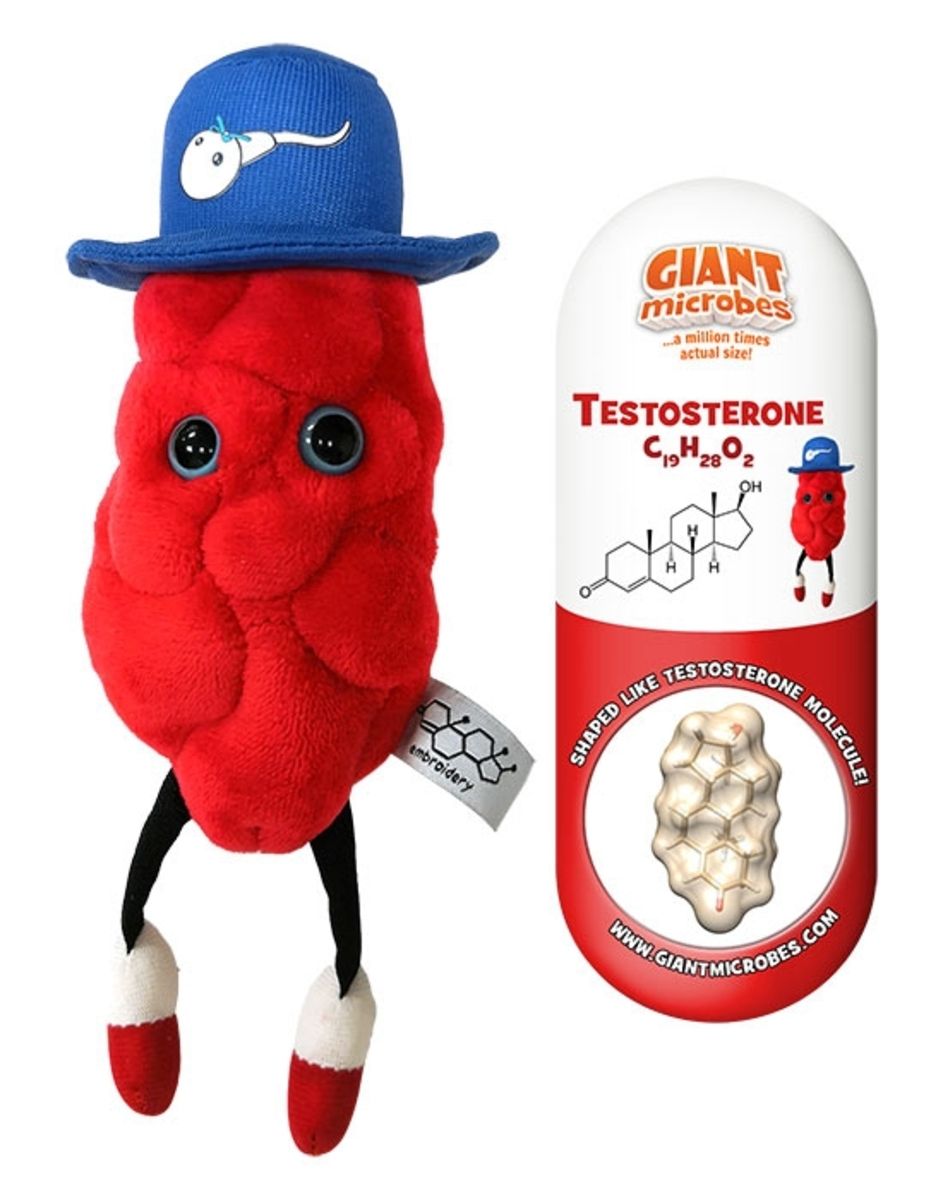 testosterone toy