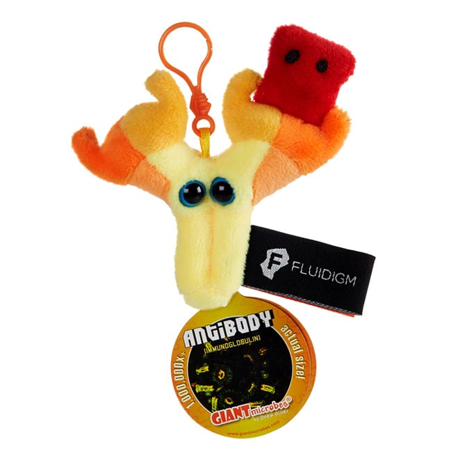 Customization Program