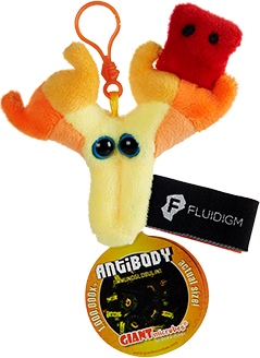 Customization Program