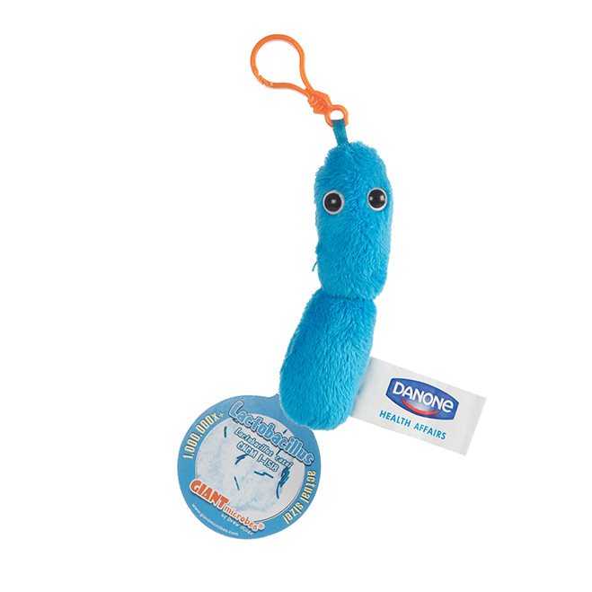 Customization Program